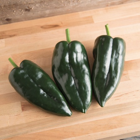 Poblano Pepper (CSA) – Ramblin' Sol Farm